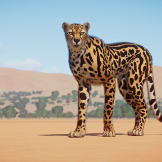 Cheetah Remaster and New Variants 1.10 ACSE V1.0 | Planet Zoo Mod Download