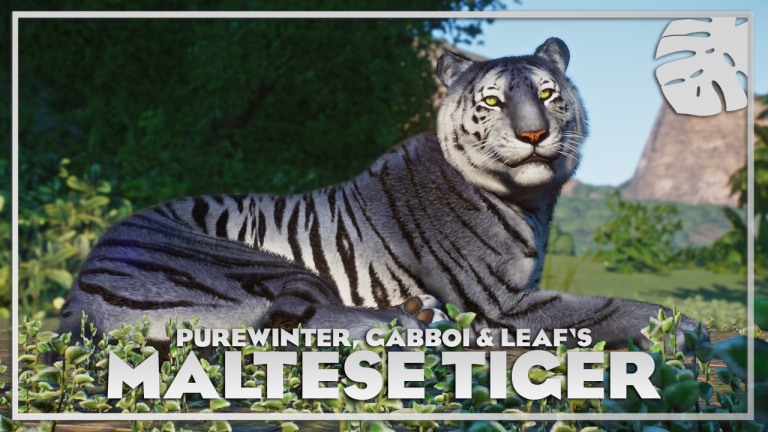 Maltese Tiger - New Species V1.10 | Planet Zoo Mod Download
