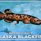 Alaska Blackfish - New Species V1.10 | Planet Zoo Mod Download