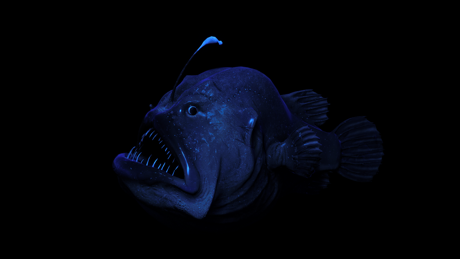 Atlantic Footballfish - New Species V1.10 | Planet Zoo Mod Download