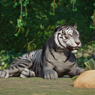 Bengal Tiger (Slate) - New Species V1.10 | Planet Zoo Mod Download