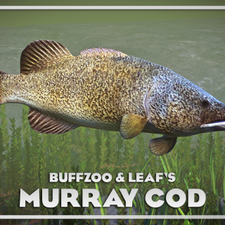 Murray Cod - New Species V1.10 | Planet Zoo Mod Download