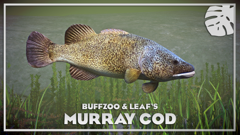 Murray Cod - New Species V1.10 | Planet Zoo Mod Download