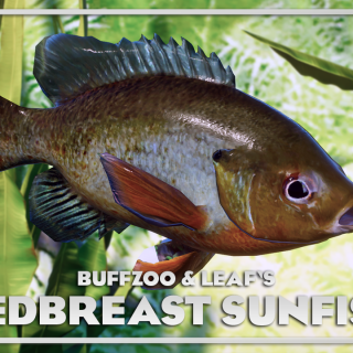 Redbreast Sunfish - New Species V1.10 | Planet Zoo Mod Download