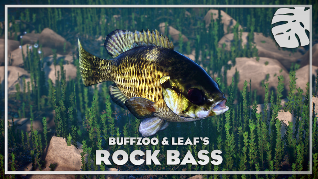 Rock Bass - New Species V1.10 | Planet Zoo Mod Download