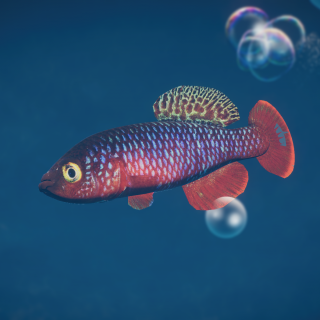 Kafue Killifish - New Species V1.10 | Planet Zoo Mod Download