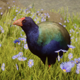 South Island Takahe - New Species 1.10 V1.0 | Planet Zoo Mod Download
