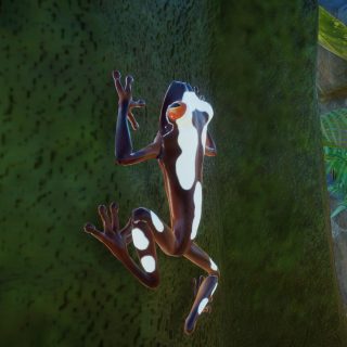 Tree Frog Pack V1.11 | Planet Zoo Mod Download