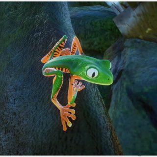 Tree Frog Pack V1.11 | Planet Zoo Mod Download