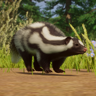 Eastern Spotted Skunk - New Species V1.11 | Planet Zoo Mod Download