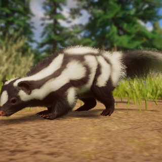 Eastern Spotted Skunk - New Species V1.11 | Planet Zoo Mod Download