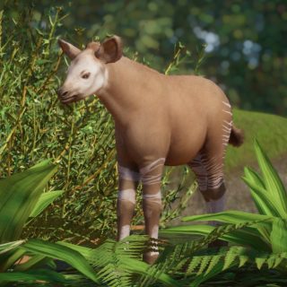 Okapi Remaster V1.12 | Planet Zoo Mod Download