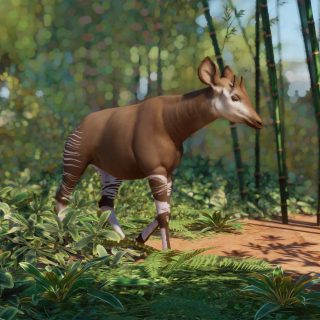 Okapi Remaster V1.12 | Planet Zoo Mod Download