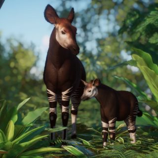 Okapi Remaster V1.12 | Planet Zoo Mod Download
