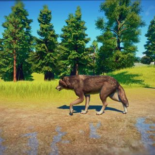 Timber Wolf Remaster - Tosca Edition V1.0 | Planet Zoo Mod Download