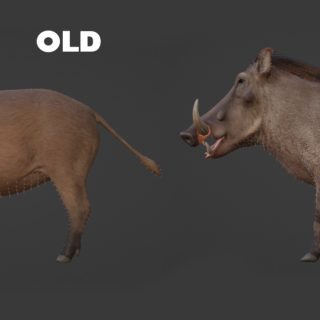Common Warthog Remaster V1.12 | Planet Zoo Mod Download