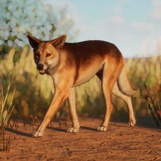Dingo Remaster and New Variants 1.12 ACSE V1.0 | Planet Zoo Mod Download