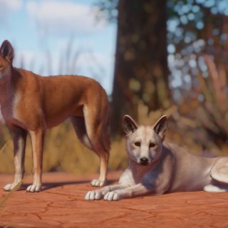 Dingo Remaster and New Variants 1.12 ACSE V1.0 | Planet Zoo Mod Download