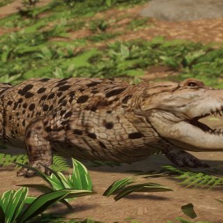 Orinoco Crocodile - New Species V1.12 | Planet Zoo Mod Download