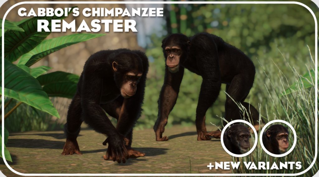 Chimpanzee Remaster and New Variants (1.12 ACSE) V1.0 | Planet Zoo Mod Download
