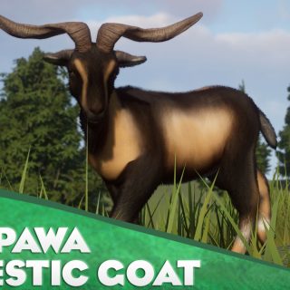 Arapawa - Domestic Goat - New Species V1.12 | Planet Zoo Mod Download