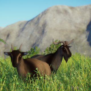 Arapawa - Domestic Goat - New Species V1.12 | Planet Zoo Mod Download