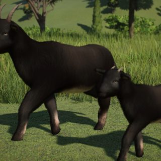 Arapawa - Domestic Goat - New Species V1.12 | Planet Zoo Mod Download