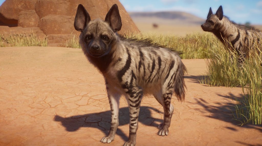 Striped Hyena Remaster V1.2 | Planet Zoo Mod Download