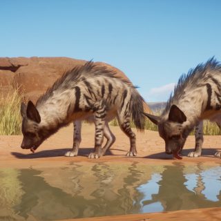 Striped Hyena Remaster V1.2 | Planet Zoo Mod Download
