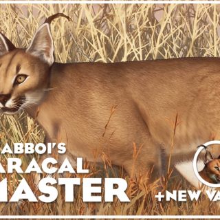 Caracal Remaster and New Variant (1.14) V1.1 | Planet Zoo Mod Download