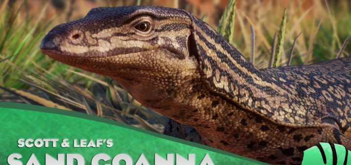 Planet Zoo mods | Planet Zoo mod Download