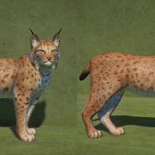 Eurasian Lynx Remaster and New Variant (1.14) V1.1 | Planet Zoo Mod Download