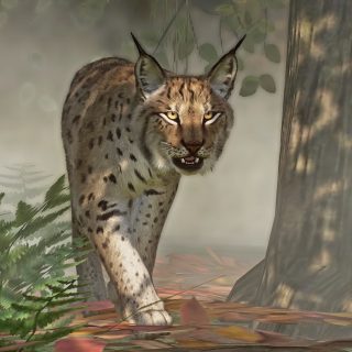 Eurasian Lynx Remaster and New Variant (1.14) V1.1 | Planet Zoo Mod Download